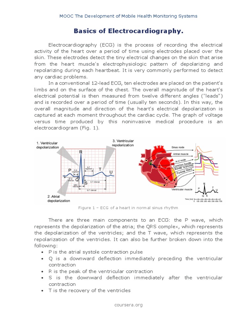 Basics of Electrocardiography | PDF | Analog To Digital Converter ...