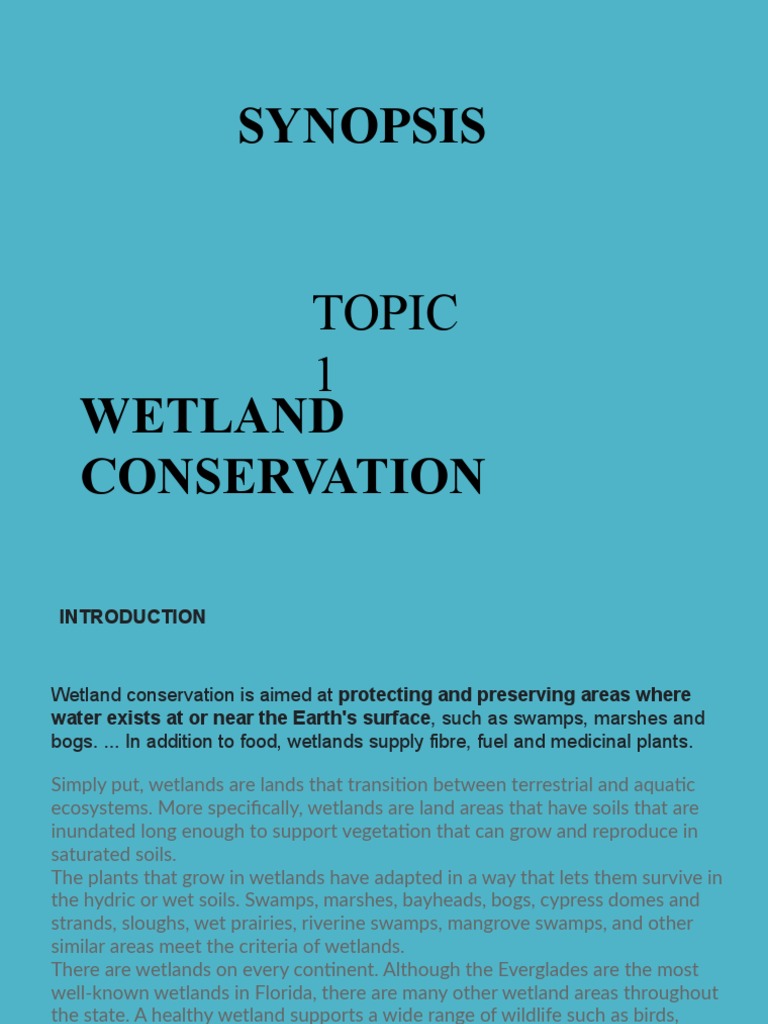 Wetland Conservation | PDF | Wetland | Swamp