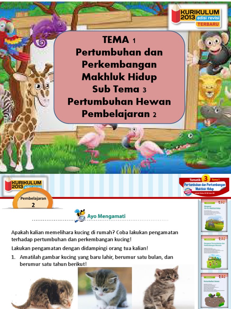 Pertumbuhan dan Perkembangan Kucing: Observasi Perbandingan Kucing Baru ...