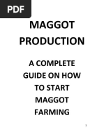 Maggot Farming | PDF | Fly | Agriculture