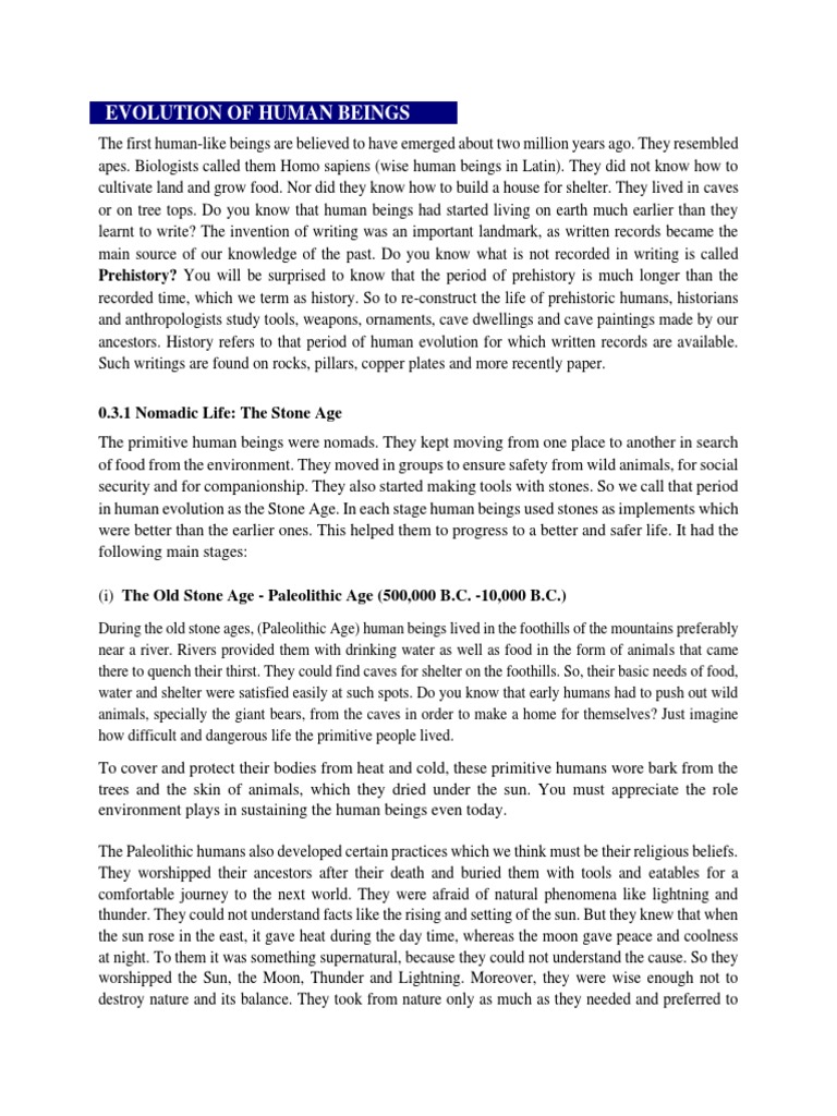 Evolution of Human Beings | PDF | Stone Age | Paleolithic