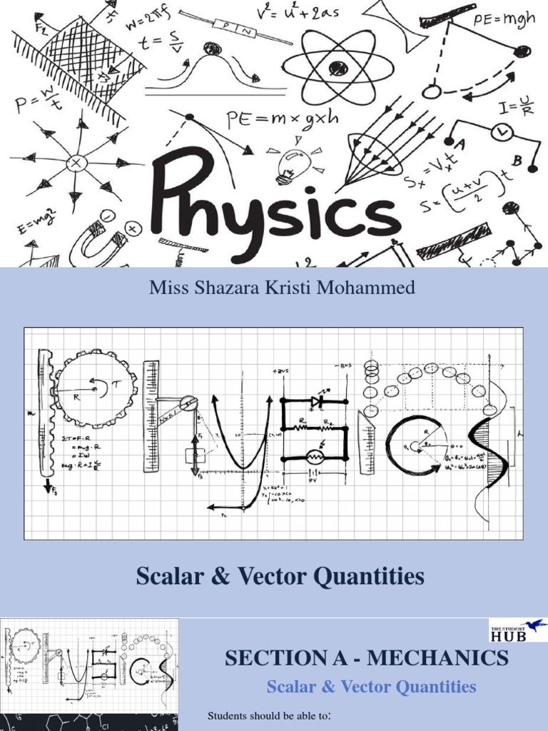Scalar & Vector Quantities | PDF | Force | Euclidean Vector