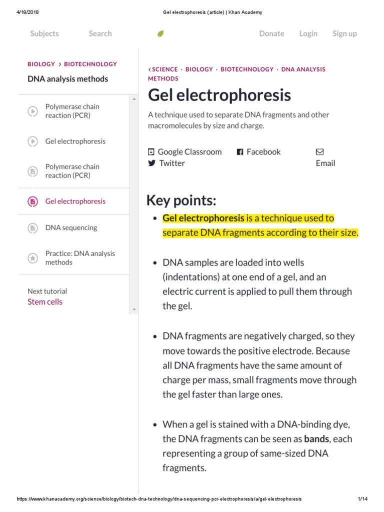 Gel Electrophoresis (Article) - Khan Academy | PDF | Gel ...
