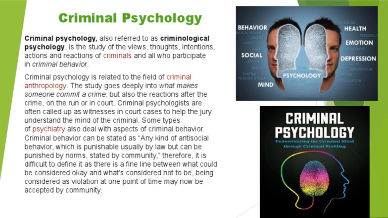 Criminal Psychology | PDF