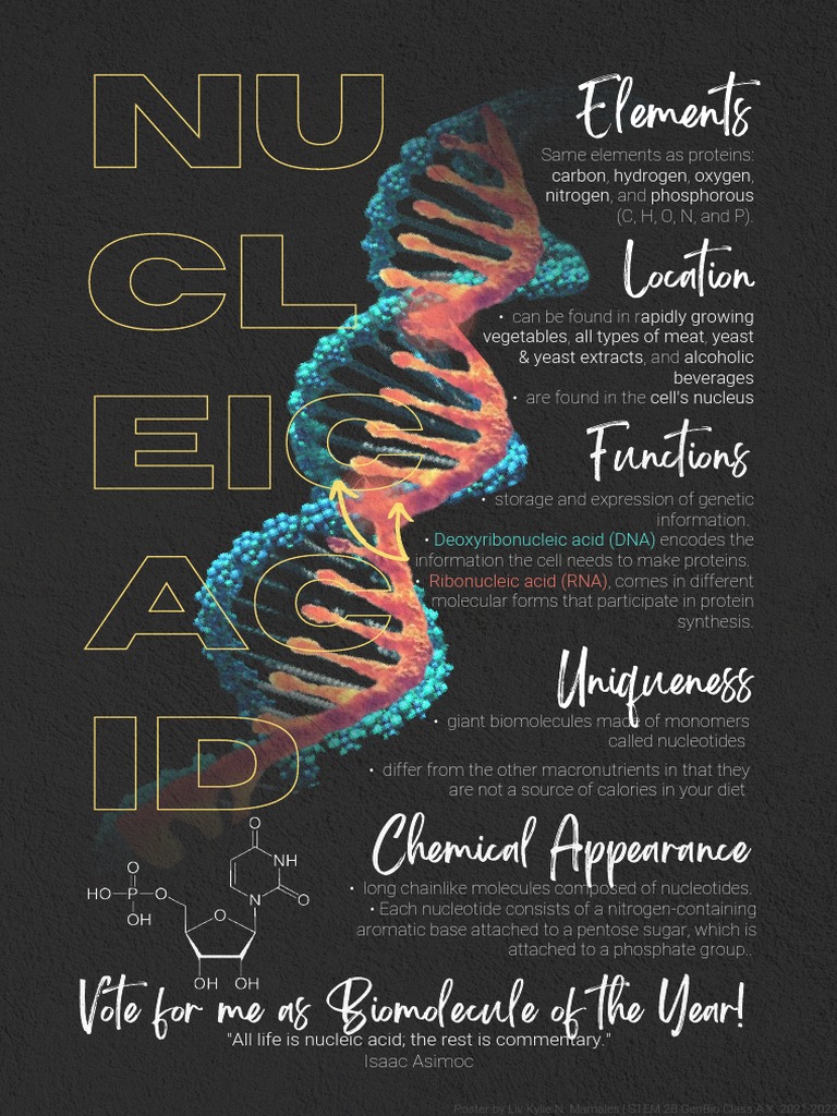 MAMALES - General Biology 1 - Nucleic Acid Poster With References | PDF ...