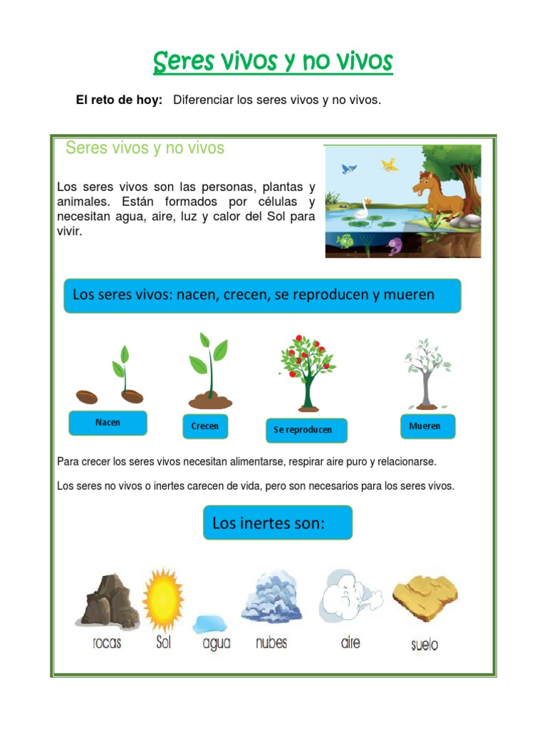 Seres Vivos y No Vivos | PDF
