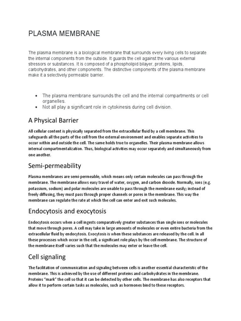Understanding the Plasma Membrane | PDF | Cell Membrane | Cell (Biology)