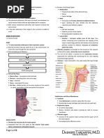 Students Worksheet For Special Senses | PDF | Olfactory System | Olfaction