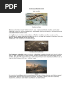 Esports - CODM Rules and Guidelines | PDF