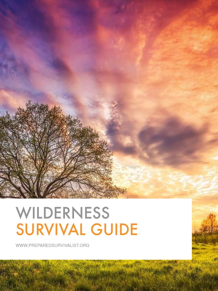 Wilderness+Survival+Guide Compressed | PDF | Wood | Water