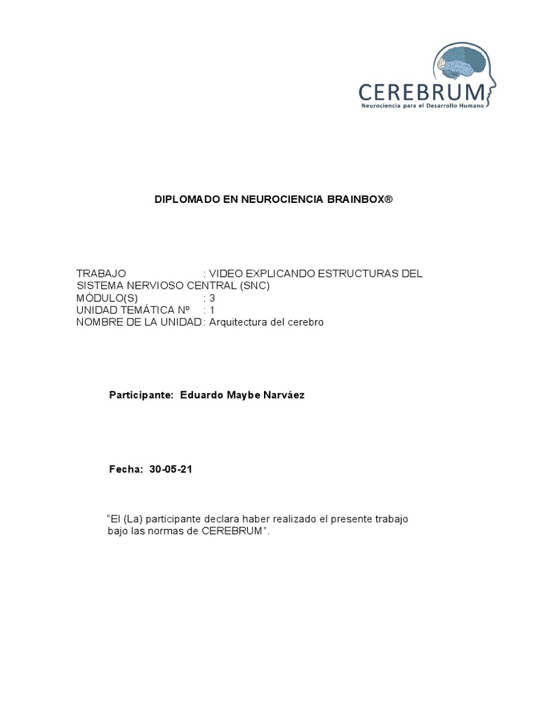 Informe 2 - Video Explicativo Estructuras Del SNC | PDF