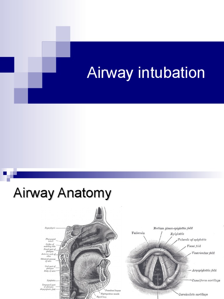 Airway Intubation | PDF | Medicine | Human Diseases And Disorders