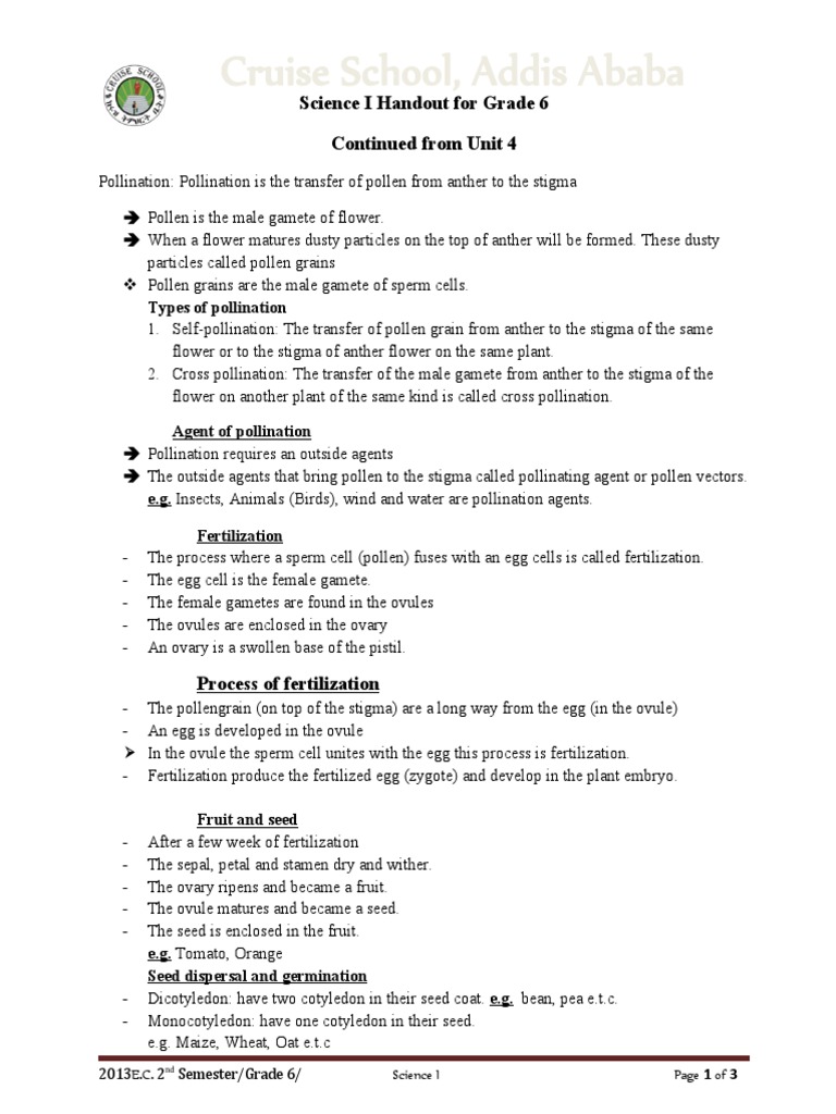 Cruise School, Addis Ababa: Science I Handout For Grade 6 Continued ...