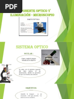 Prueba de Optoquina para Neumococos | PDF | Estreptococo | Microbiología