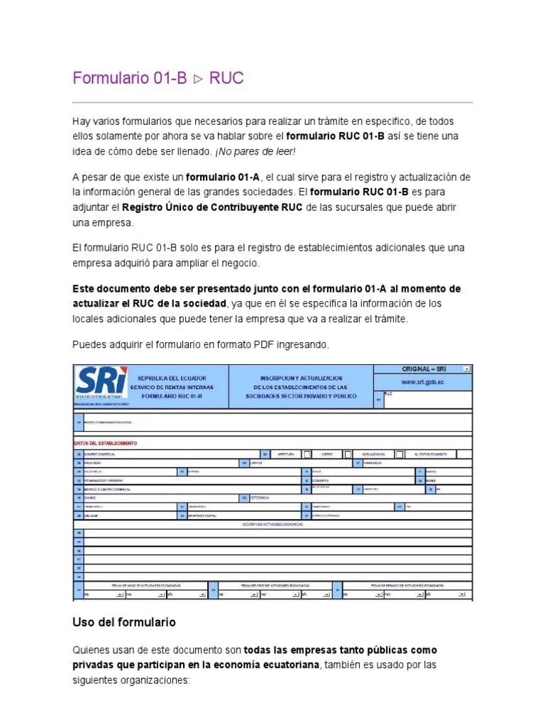 Formulario 01-B RUC | PDF