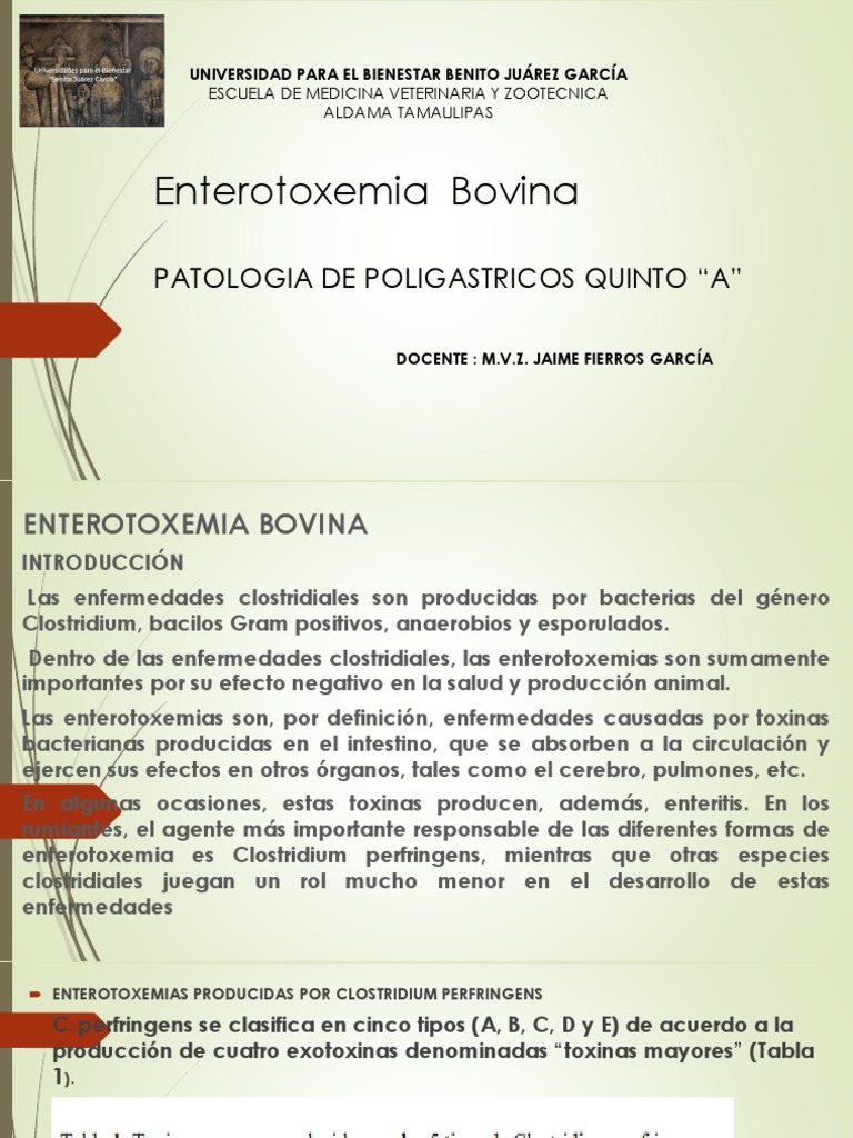Enterotoxemia | PDF | Microbiología | Especialidades Medicas