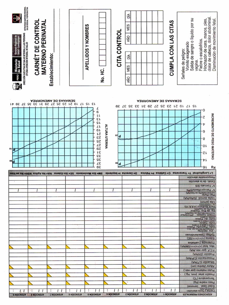 Carnet Perinatal | PDF