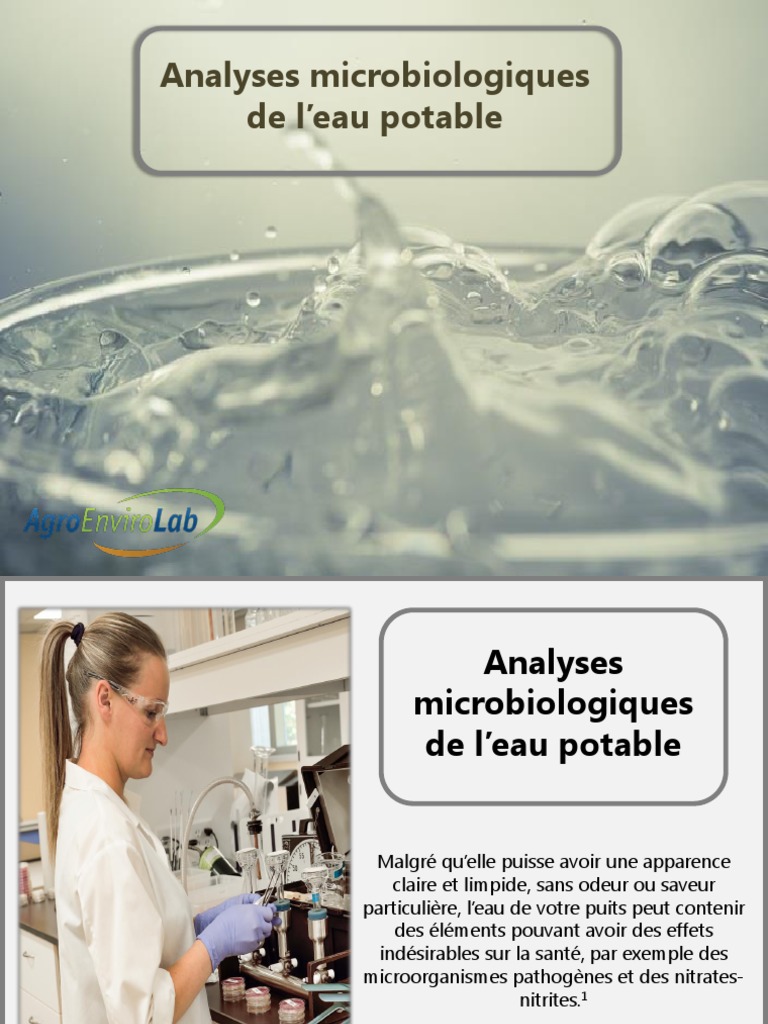 Analyses Microbiologiques de L'eau Potable | PDF | Bactérie | Escherichia coli