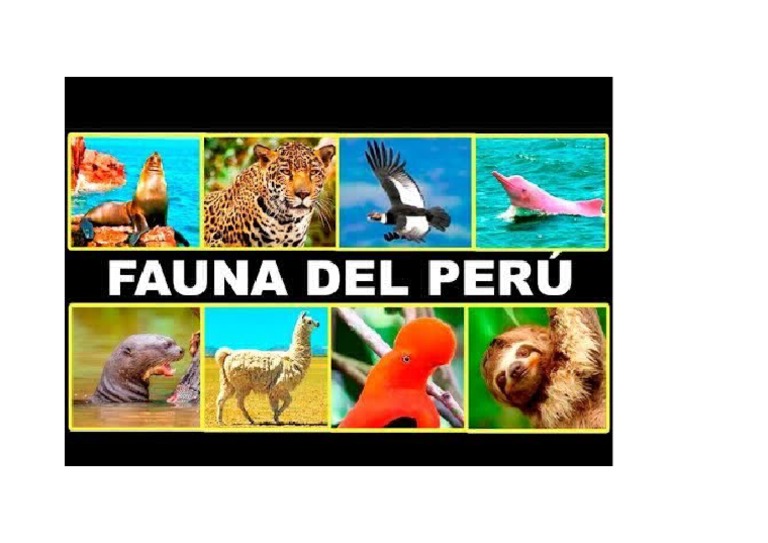 Fauna Del Peru | PDF