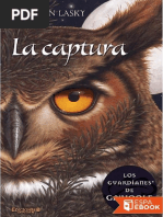 Diapositivas de Regiones de La Cara | PDF | Anatomía humana | Anatomía