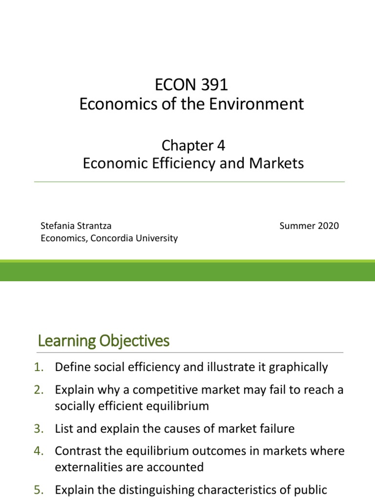 Economic Efficiency and Markets | PDF | Externality | Demand