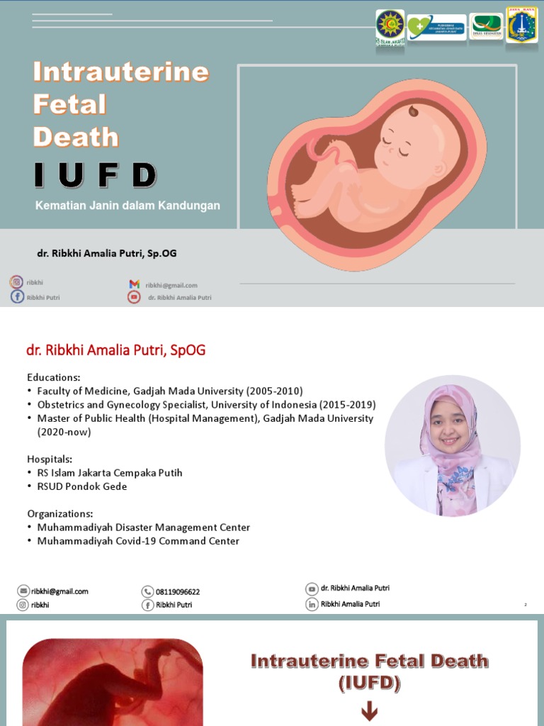 IUFD | PDF