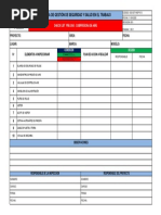 Check List Pulidor | PDF