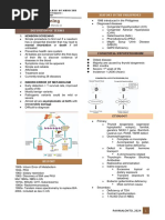 Expanded Newborn Screening Brochure | PDF | Diseases And Disorders | Clinical Medicine