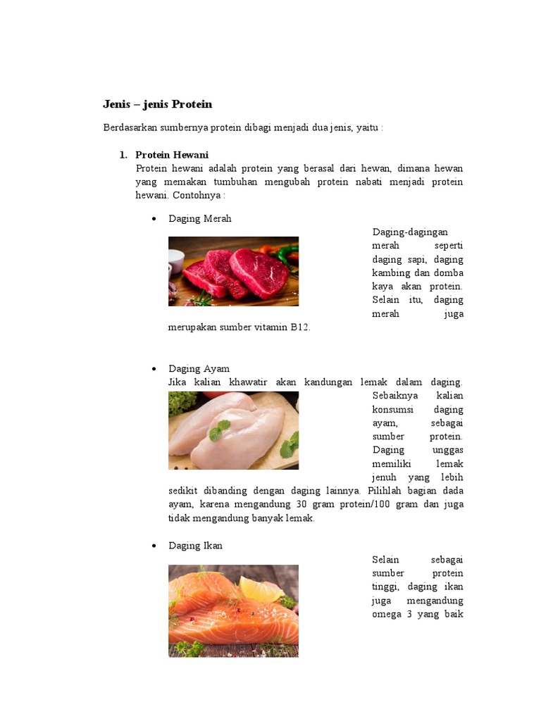 Jenis-Jenis Protein | PDF