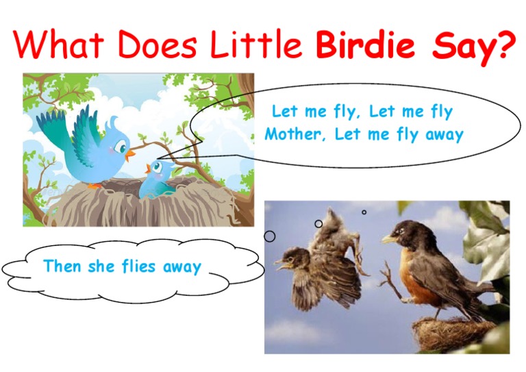 What Does Little Birdie Say | PDF