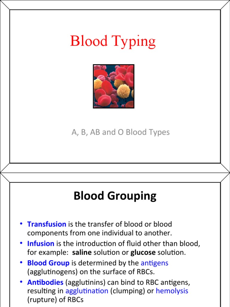 Blood Typing: A, B, AB and O Blood Types | PDF | Blood Type | Histology