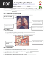 Autopsy of A Dill Pickle Person Lab | PDF | Abdomen | Anatomical Terms ...