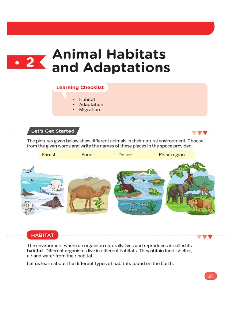 Habitat and Adaptations - Class 4 | PDF