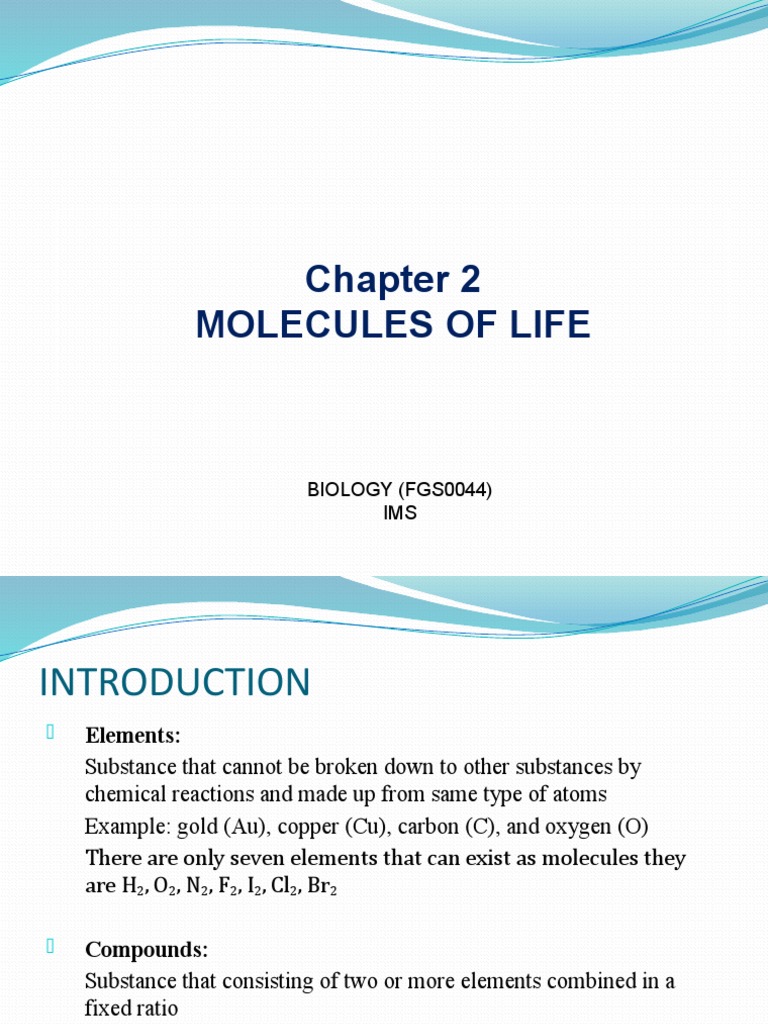 Chapter 2 Molecules of Life | PDF | Carbohydrates | Polysaccharide