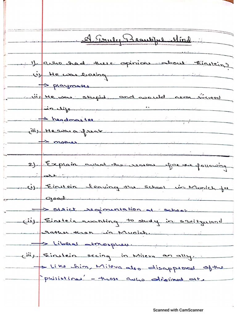 A Truly Beautiful Mind Notes | PDF