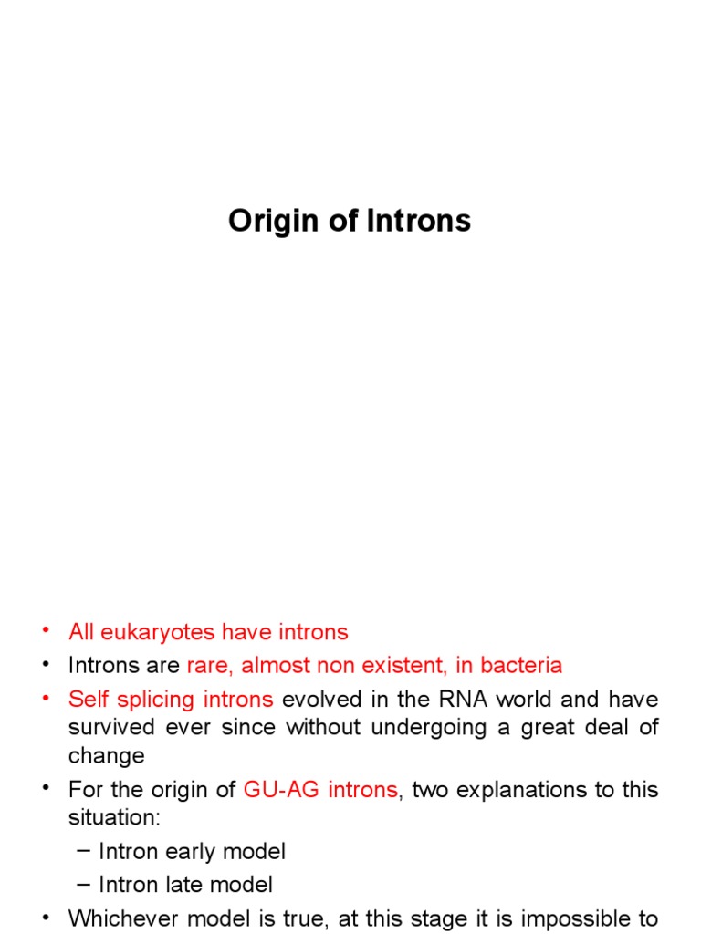 The Origin of Introns - Final | PDF | Wellness | Science & Mathematics