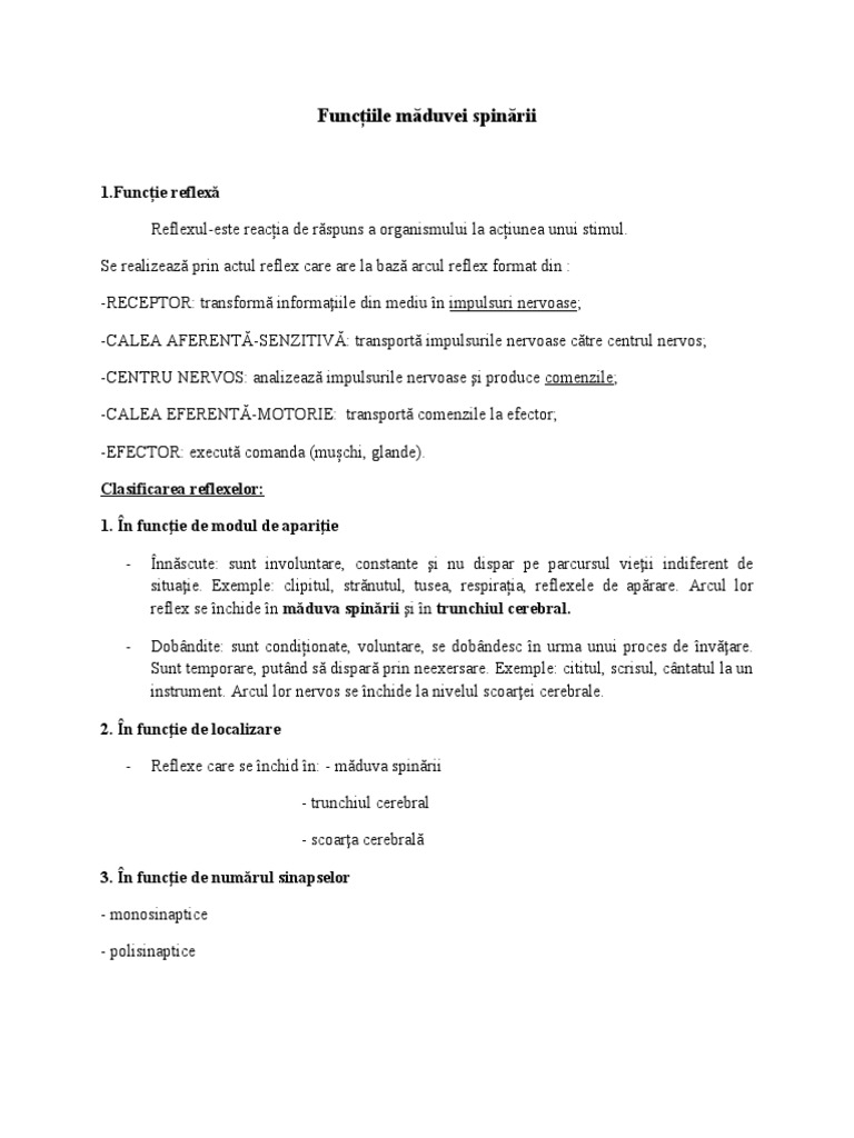 Functiile Maduvei Spinarii | PDF