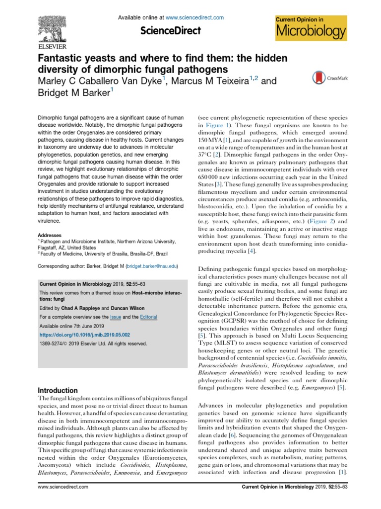 Fantastic Yeasts and Where To Find Them: The Hidden Diversity of ...