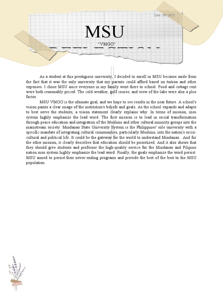 MSU VMGO Reflection | PDF