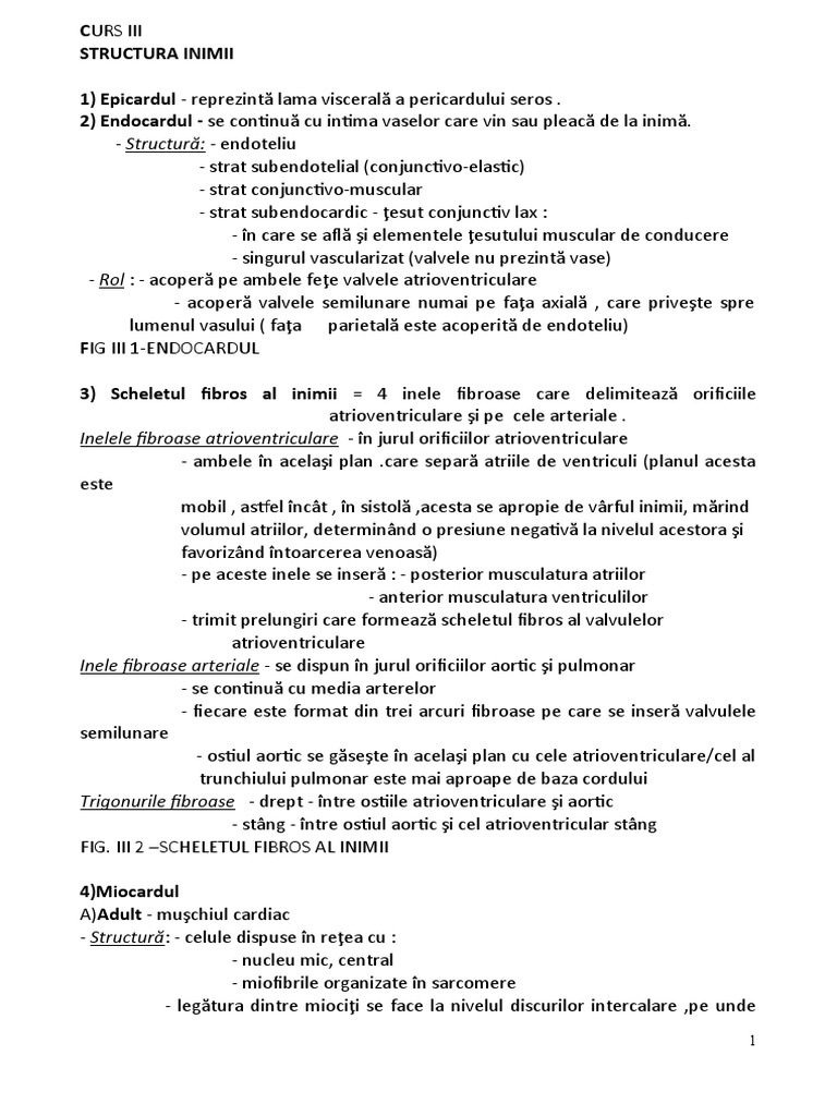 Curs 3 - Structura Inimii | PDF