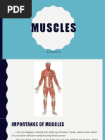 Muscular System Grade 4 Science | PDF | Wellness
