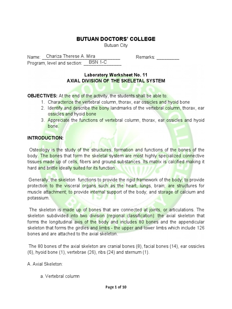 11 Axial Division of The Skeletal System | Download Free PDF | Vertebra ...