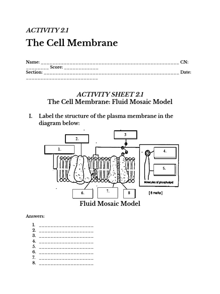 Activity 2 The Cell Membrane Fluid Mosaic Model | PDF