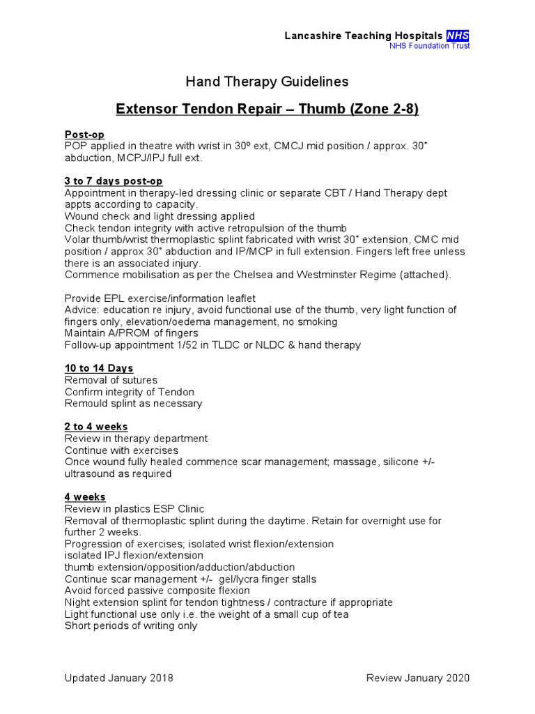 EPL Zone II To VIII Guideline 2018 | PDF | Thumb | Anatomical Terms Of ...
