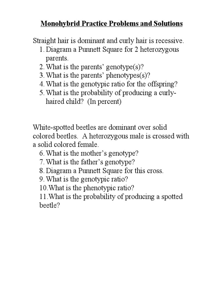 Monohybrid Practice Problems Overhead | PDF