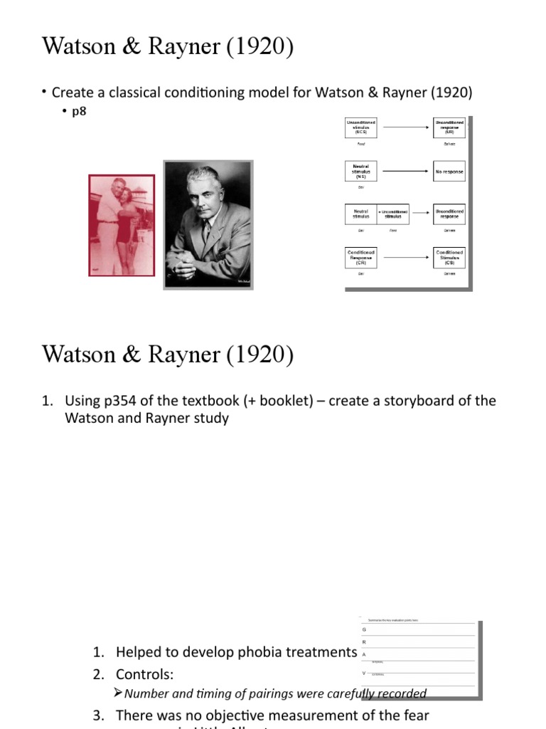 Little Albert: Watson & Rayner's Study | PDF | Self-Improvement