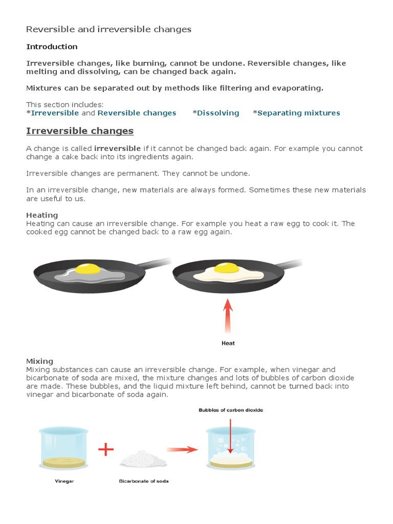 Reversible and Irreversible Changes | PDF | Water | Solution