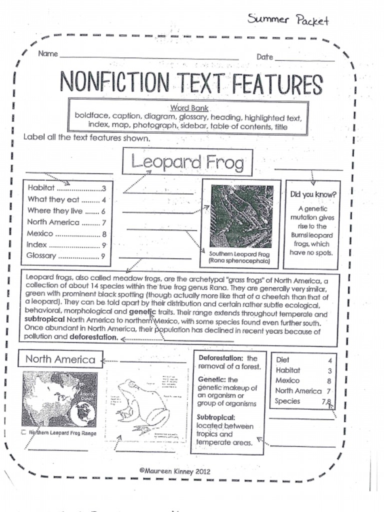 Upcoming 3rd Grade Summer Packet 2019 | PDF