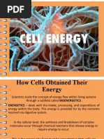 2019 Nutrition Bes Poem Interpretative Reading English | PDF ...