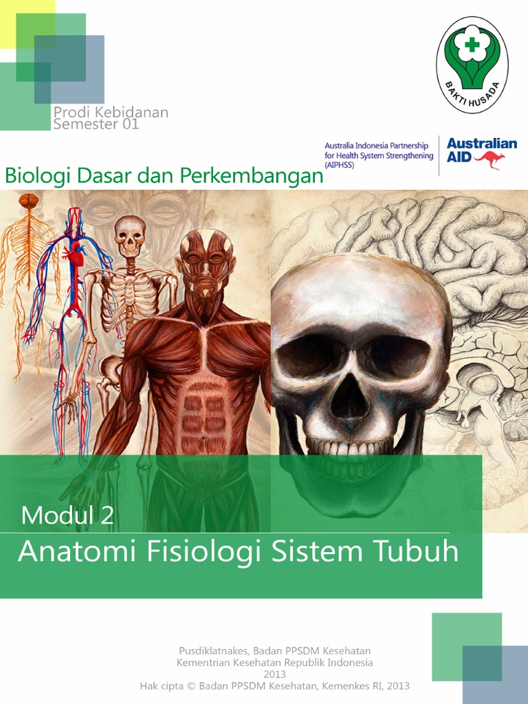 Modul 2 - Anatomi Fisiologi Sistem Tubuh | PDF